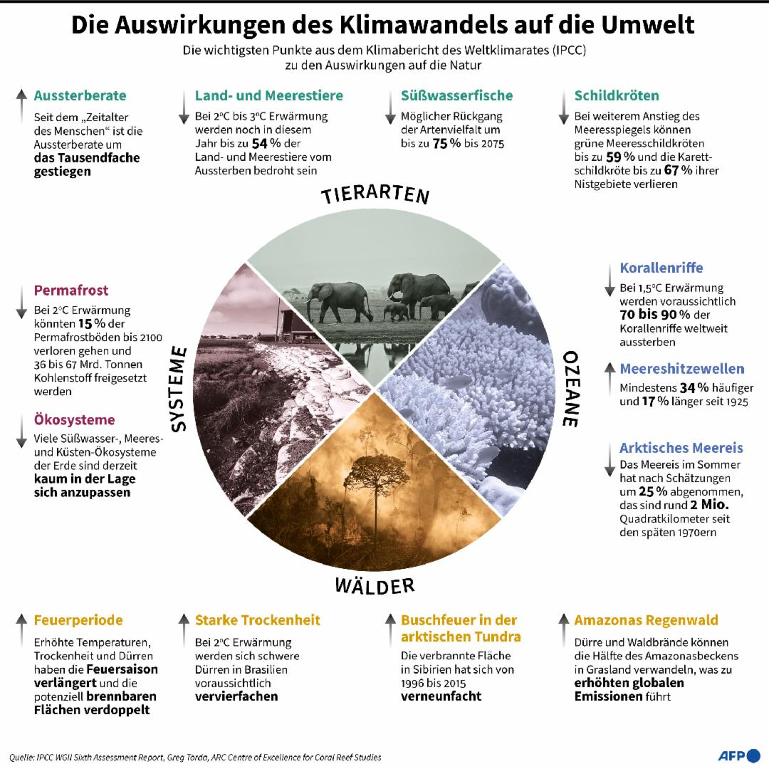Diese Erklärung verbreitet Falschinformationen über den Klimawandel ...